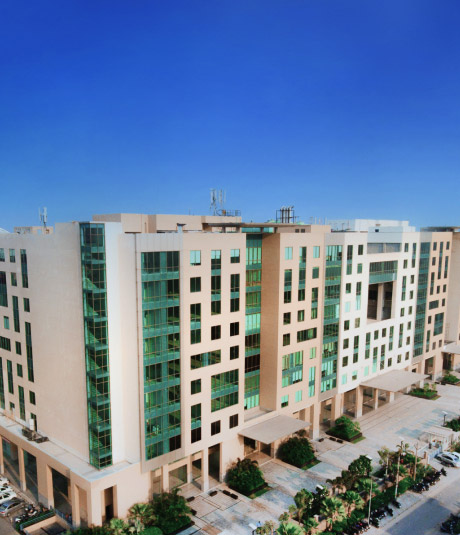 Best IT Software Development Company - Bridging Technologies