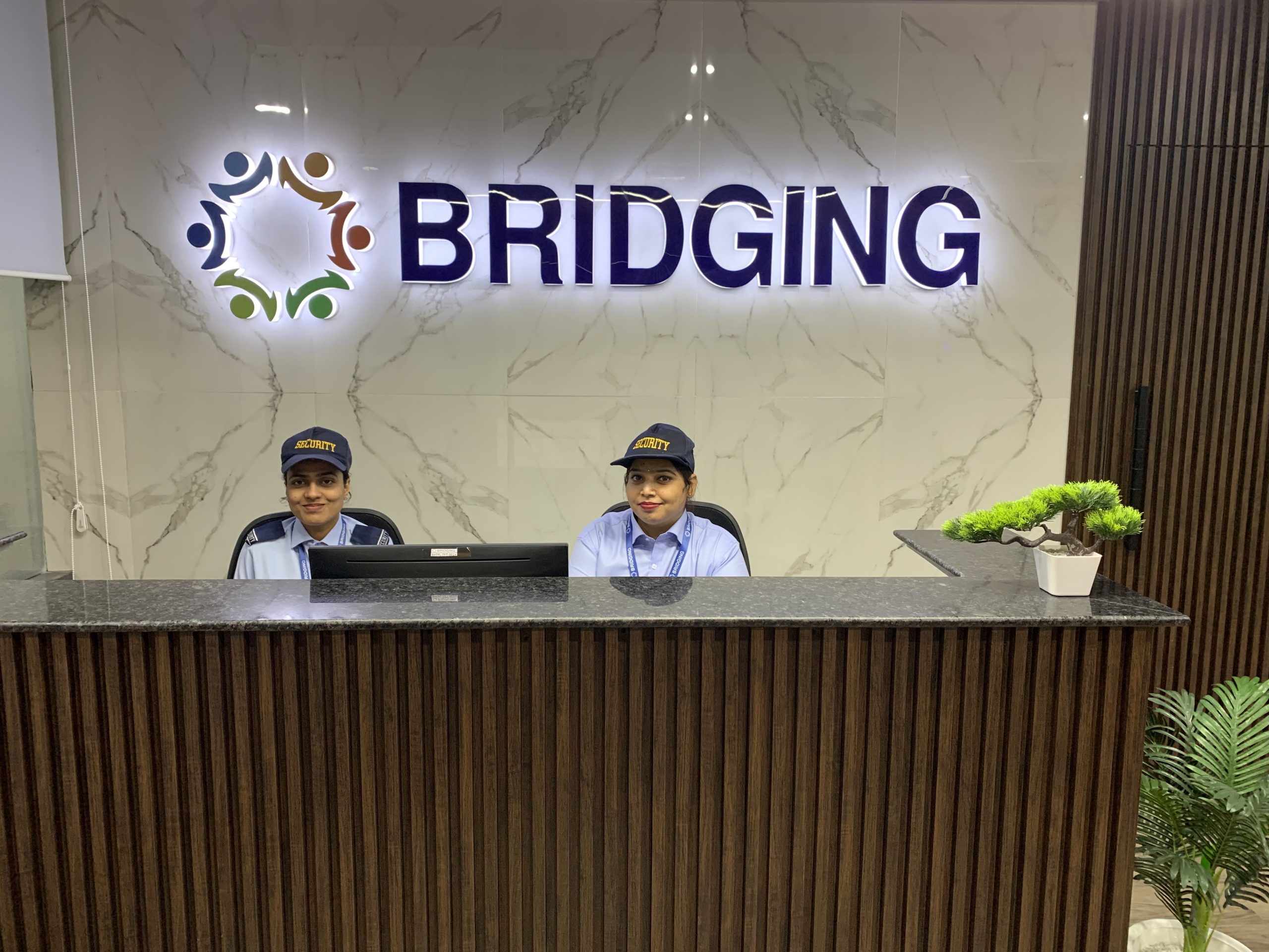 Software Development Company in Mohali-Bridging Technologies